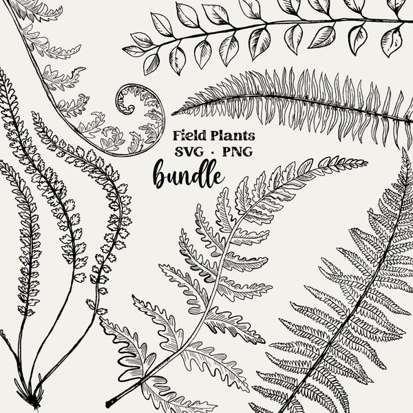 Fern Svg - Etsy