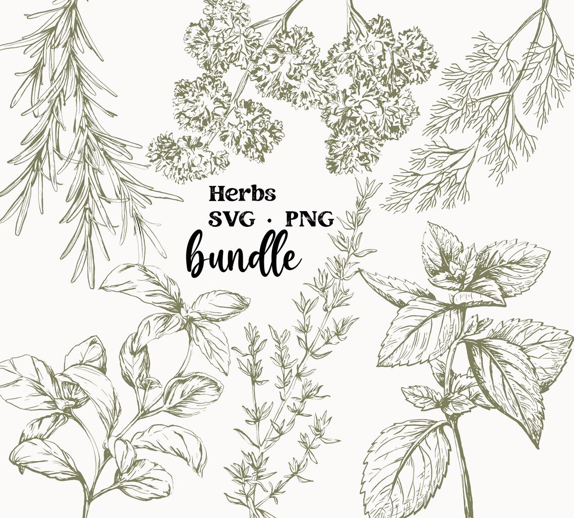 Herb SVG, Culinary Herbs Vector, Herb Clipart, Hand Drawn, Food Clipart ...