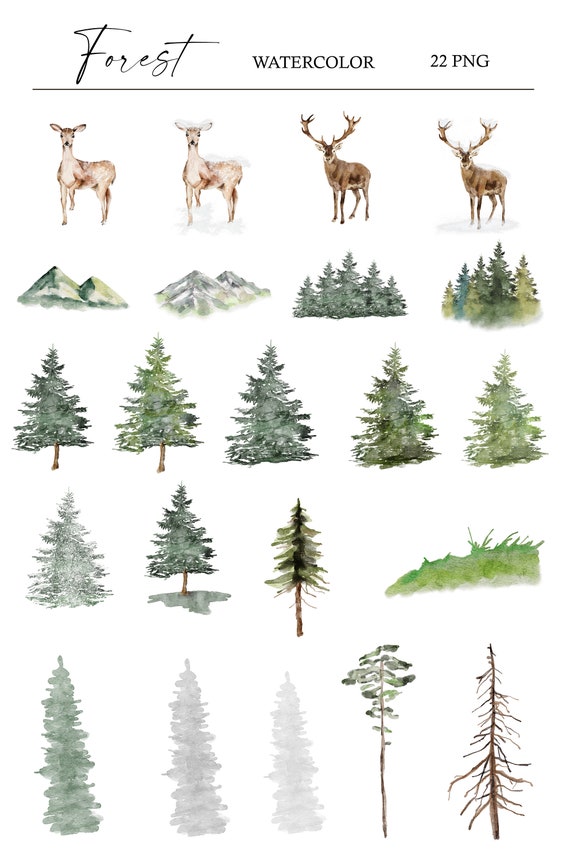 Prints Digital Prints Watercolor forest tree clipart Woodland pine tree ...