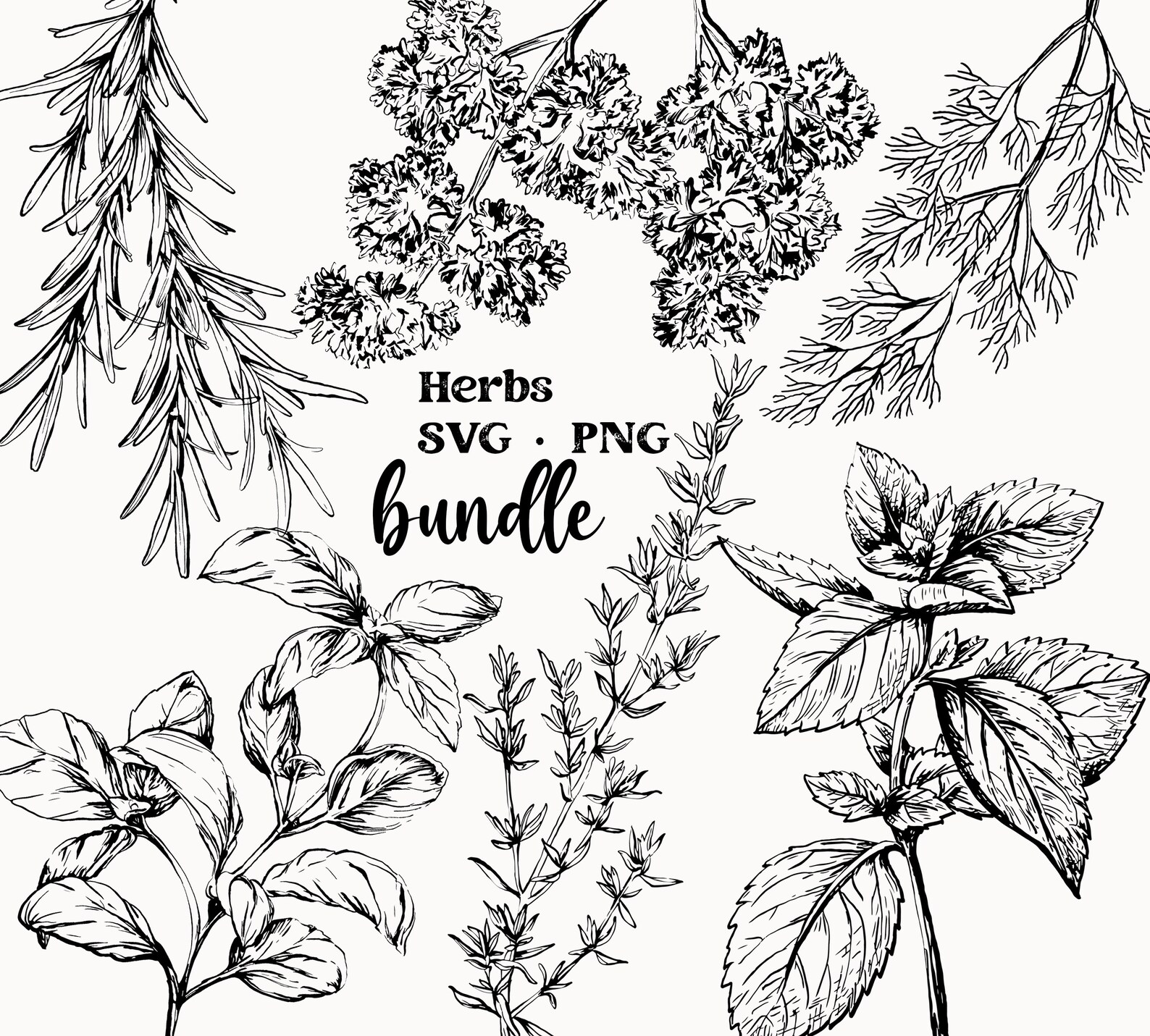 Herb SVG, Culinary Herbs Vector, Herb Clipart, Hand Drawn, Food Clipart ...