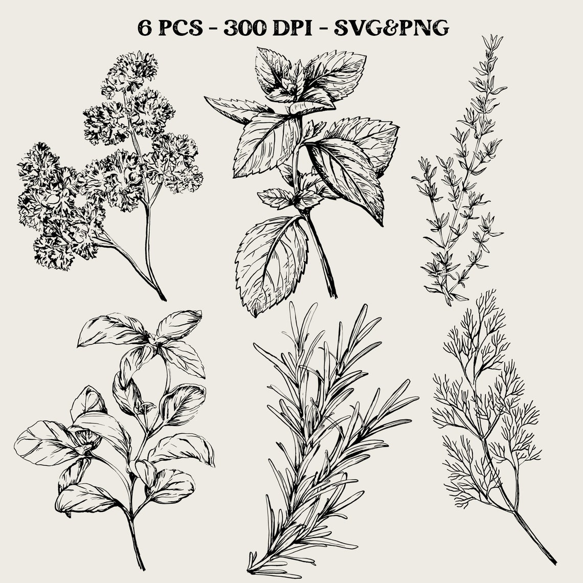 Herb SVG Culinary Herbs Vector Herb Clipart Hand Drawn - Etsy
