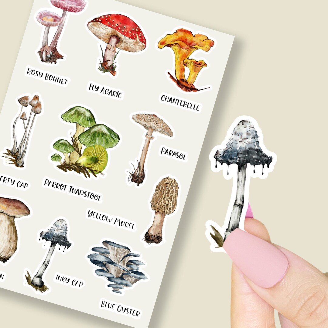 MUSHROOM Stickers Pieces Great for Journals Collage Scrapbooks Vintage ...