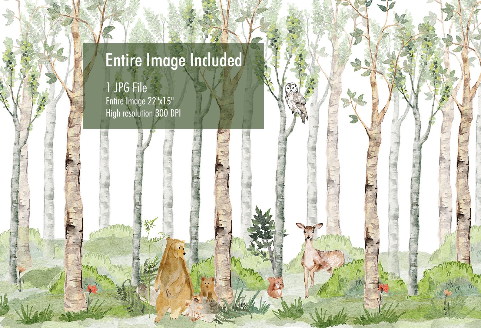 Watercolor Forest Tree Clipart, Woodland Animals, Nursery Decoration ...