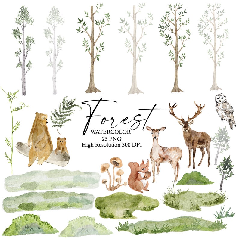 Watercolor Forest Tree Clipart Woodland Animals Nursery - Etsy