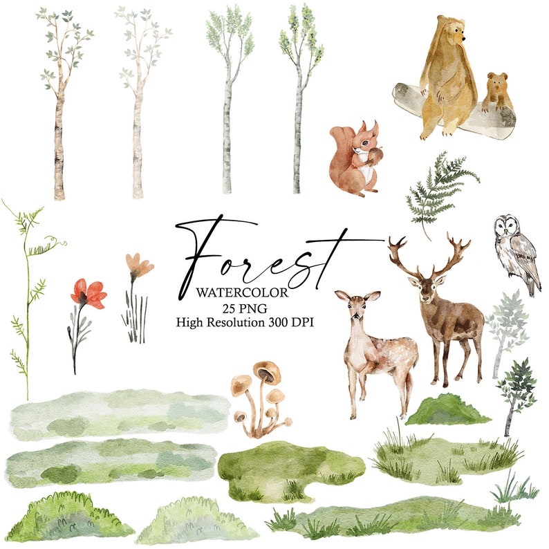Watercolor Forest Tree Clipart, Woodland Animals, Nursery Decoration ...