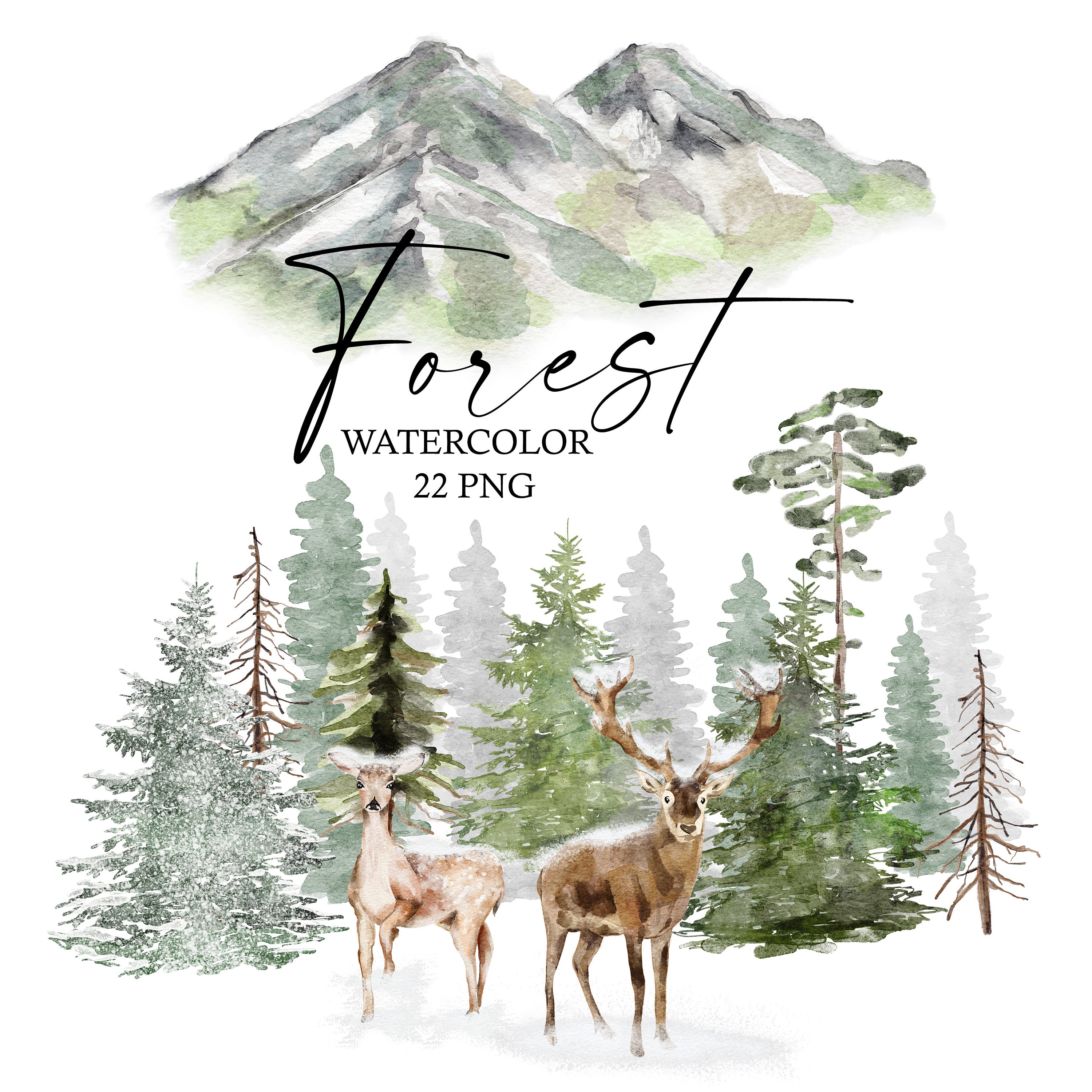 Watercolor Forest Tree Clipart Woodland Pine Tree Deer PNG Pine Trees ...