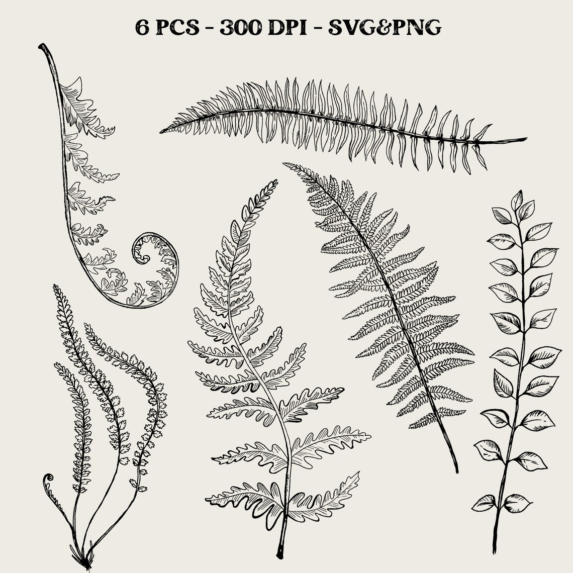 Fern SVG Botanical Svg Bundle Leaves PNG Wild Plant | Etsy
