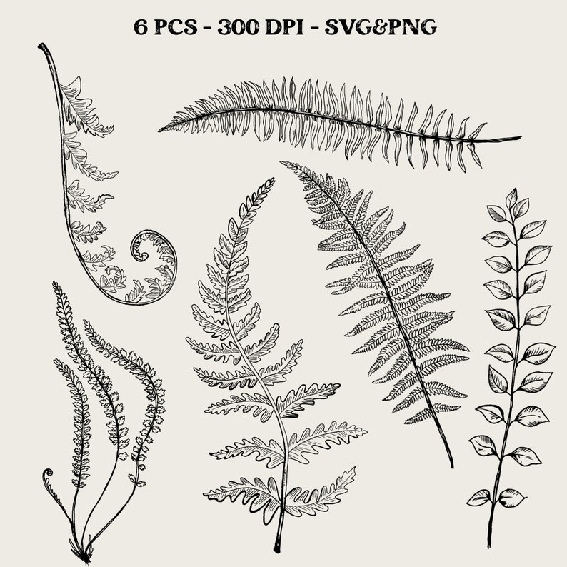 Fern SVG Botanical Svg Bundle Leaves PNG Wild Plant - Etsy