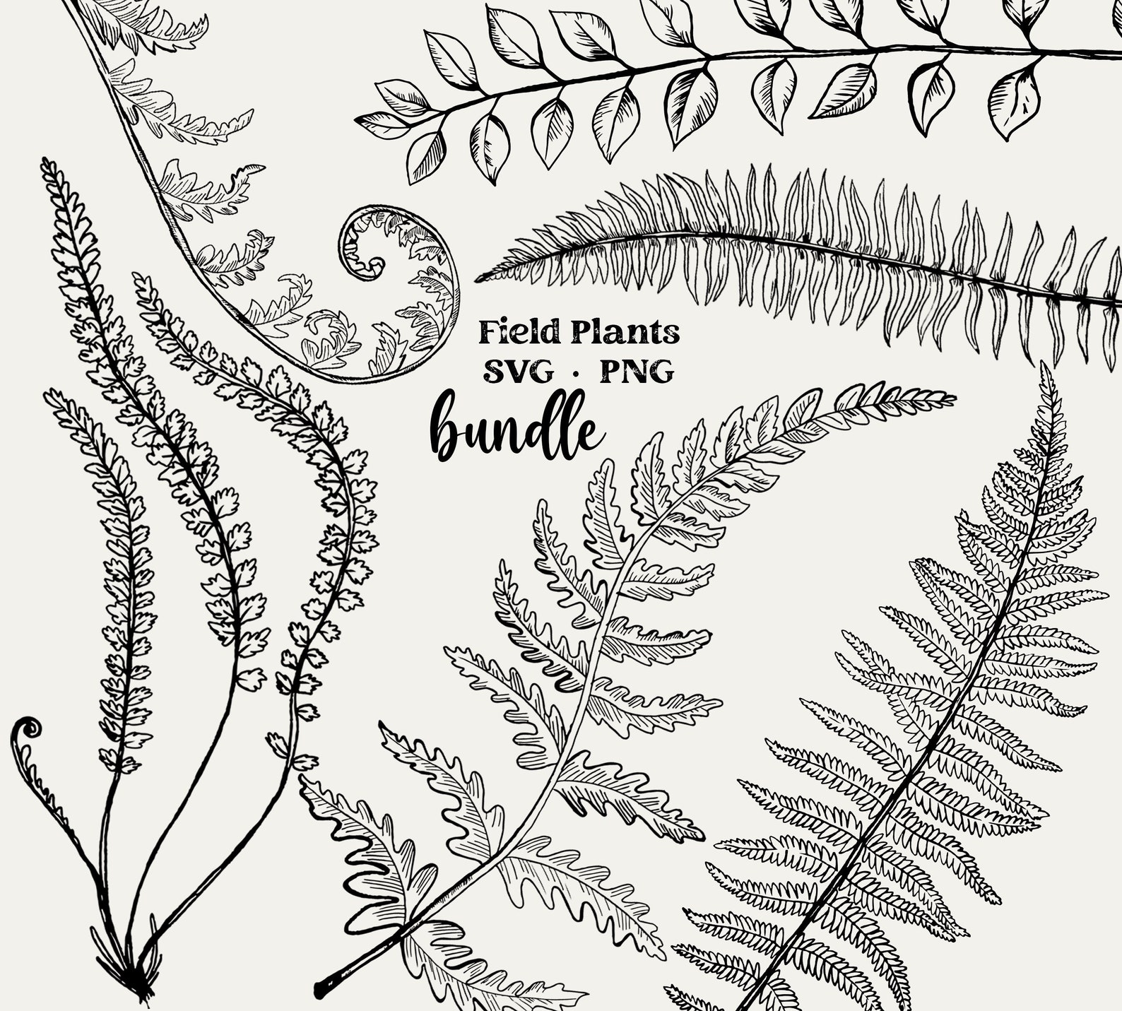 Fern SVG, Botanical Svg Bundle, Leaves PNG, Wild Plant Clipart, Hand ...