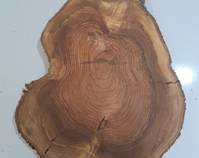 Olive Live Edge Wood Slab Olive Live Edge Log Wood Cookie Burl Slice ...