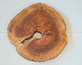 26 Olive Live Edge Wood Slab Live Edge Olive Burl Hole Wood Slice Huge ...