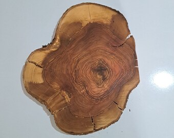Olive Live Edge Wood Slab Olive Live Edge Log Wood Cookie Burl Slice ...
