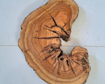25 Olive Live Edge Wood Slab Live Edge Olive Burl Hole Wood Slice Huge ...