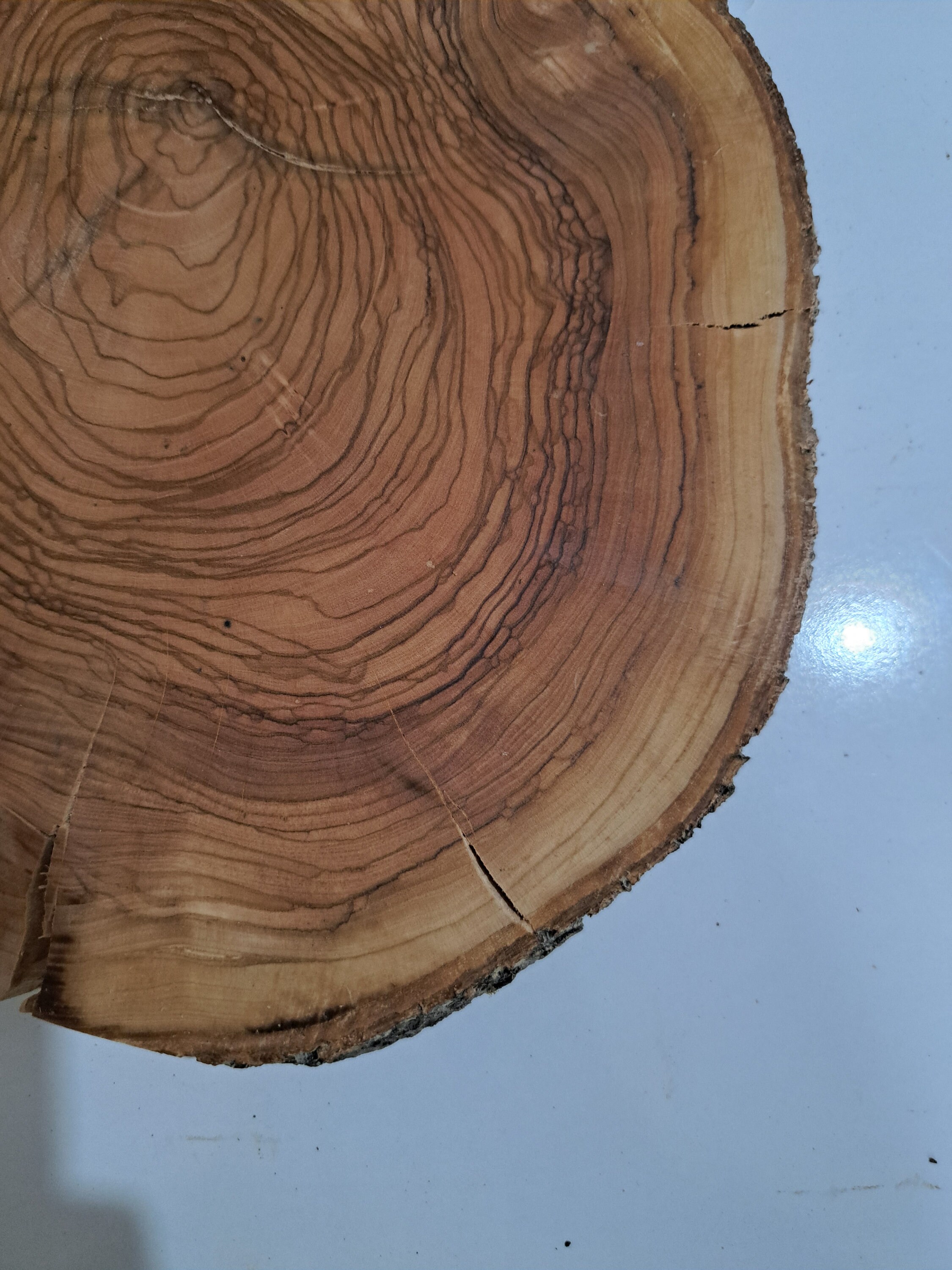 Olive Live Edge Wood Slab Olive Live Edge Log Wood Cookie Burl Slice ...