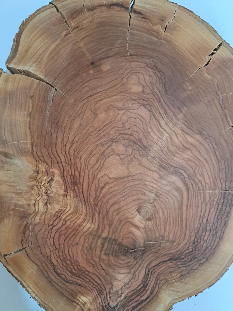 Olive Live Edge Wood Slab Olive Live Edge Log Wood Cookie Burl Slice ...