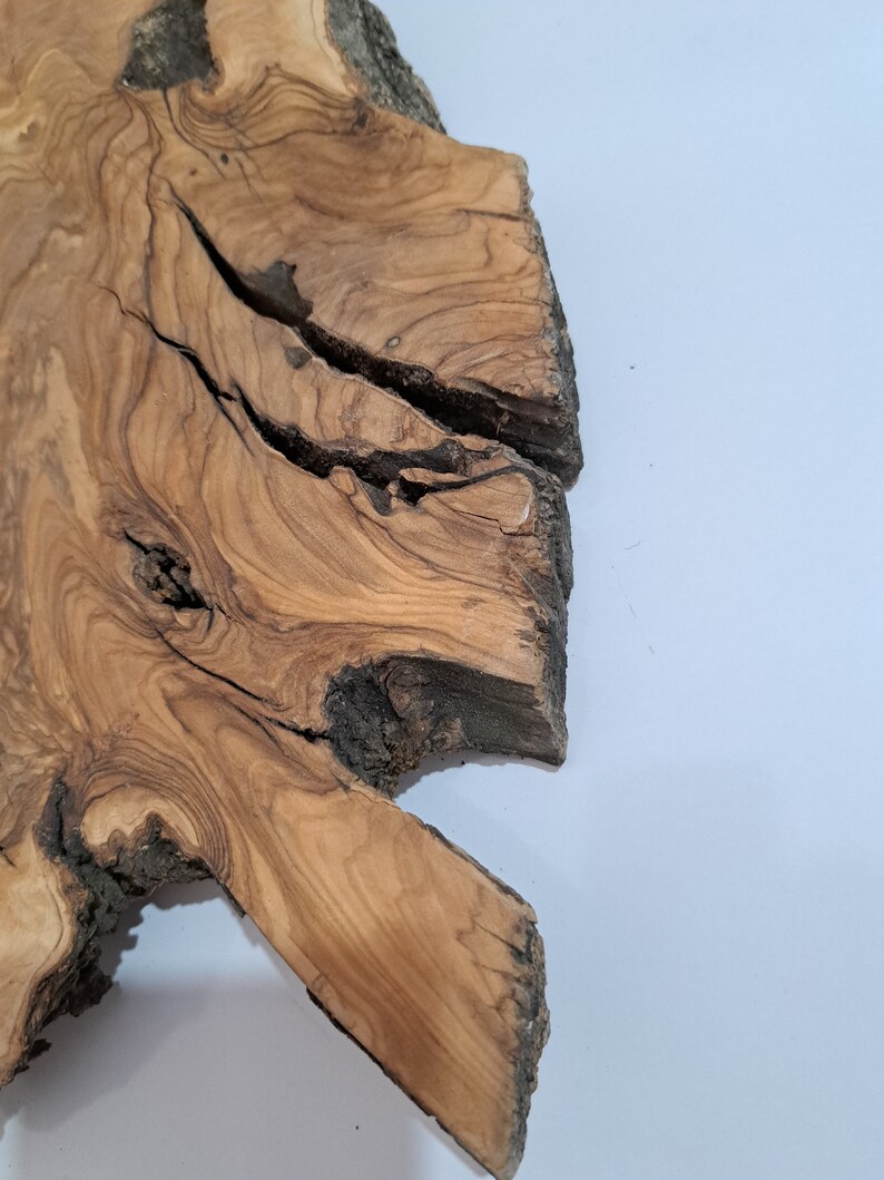 Olive Live Edge Wood Slab Olive Live Edge Log Wood Cookie Burl Slice ...