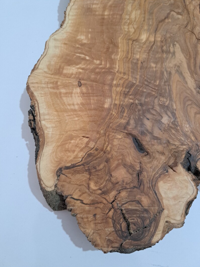 Olive Live Edge Wood Slab Olive Live Edge Log Wood Cookie Burl Slice ...