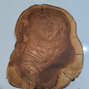 Olive Live Edge Wood Slab Olive Live Edge Log Wood Cookie Burl Slice ...