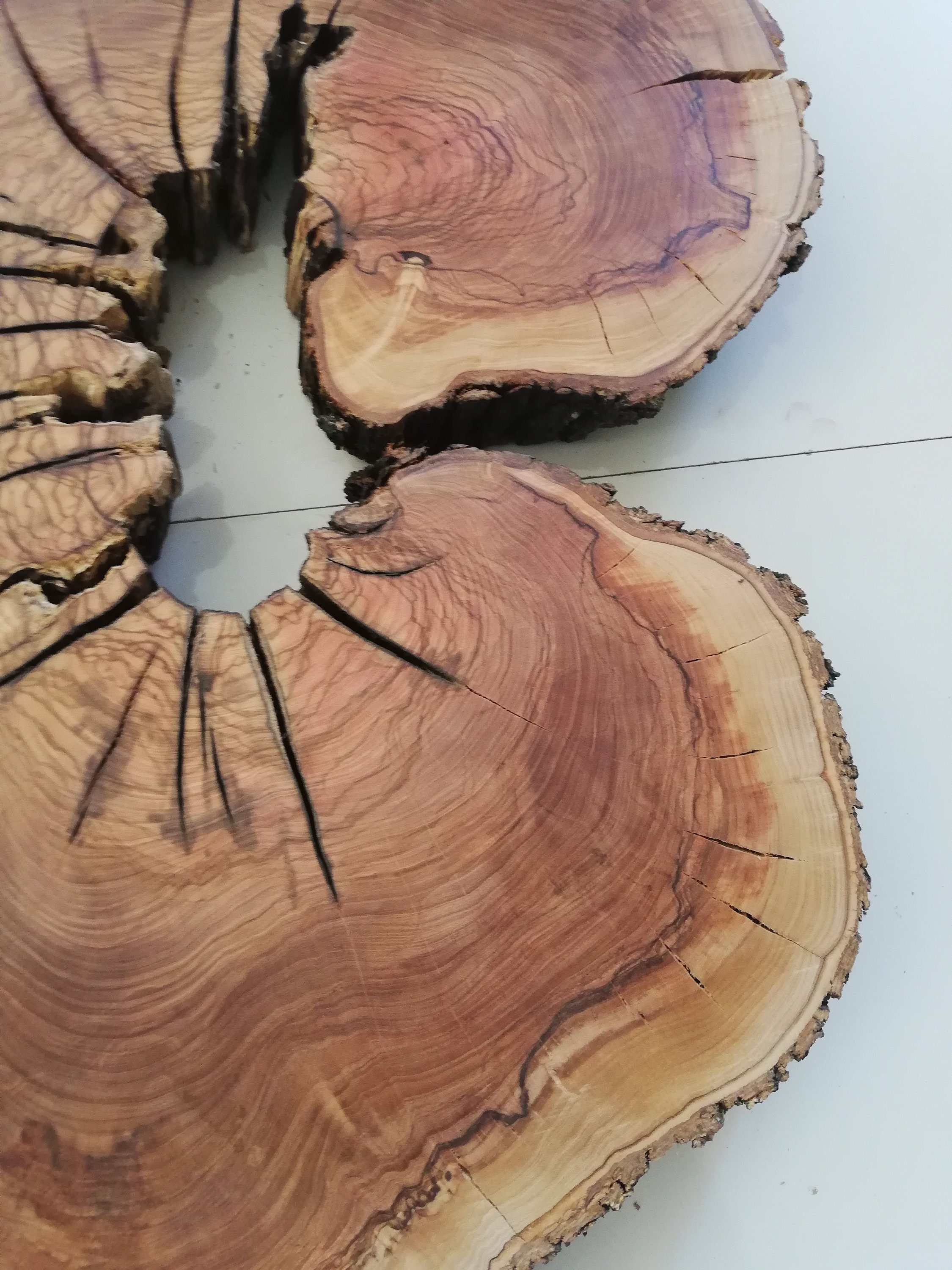 19 Olive Live Edge Slab Live Edge Wood Olive Burl Hole Wood Slice Huge ...