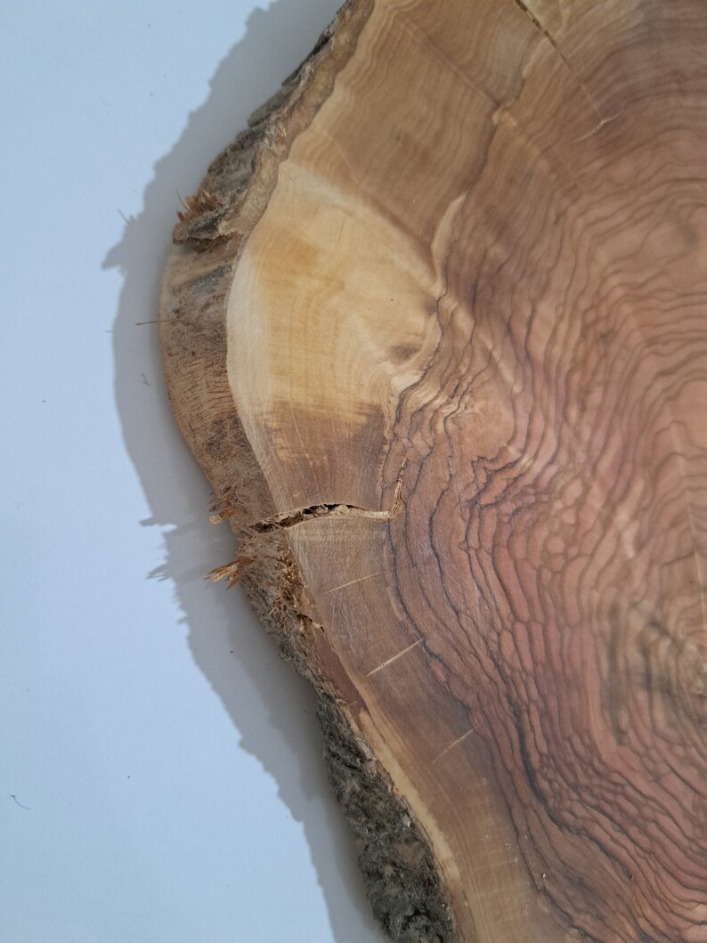 Olive Live Edge Wood Slab Olive Live Edge Log Wood Cookie Burl Slice ...