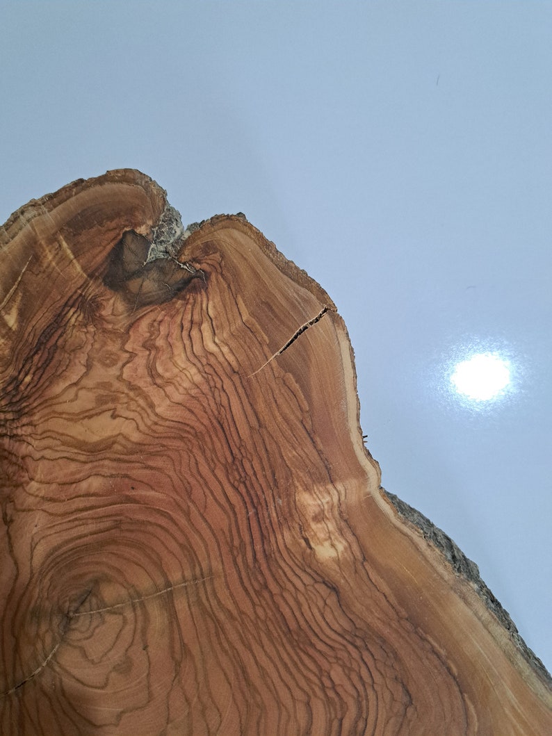 Olive Live Edge Wood Slab Olive Live Edge Log Wood Cookie Burl Slice ...