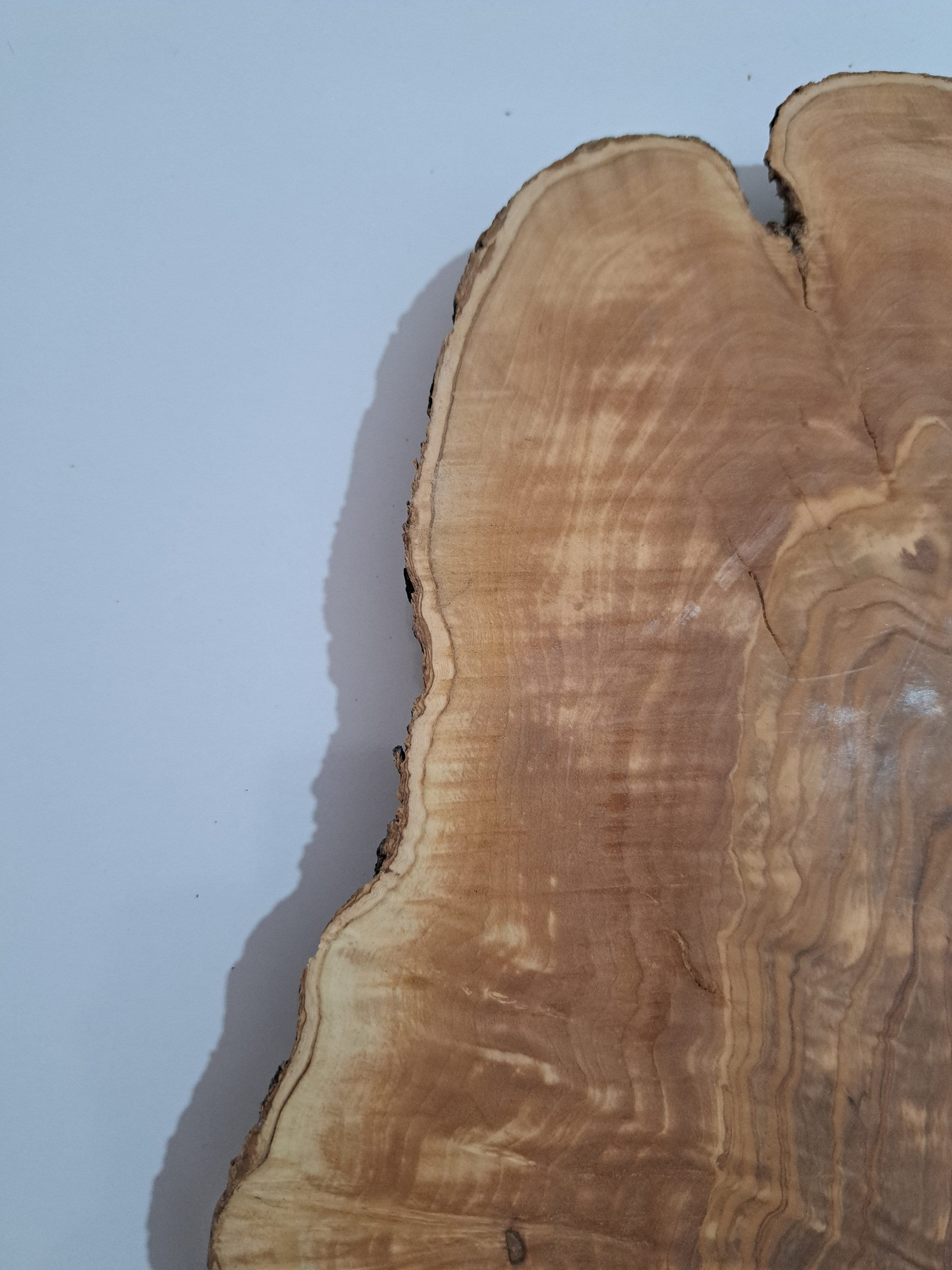 Olive Live Edge Wood Slab Olive Live Edge Log Wood Cookie Burl Slice ...