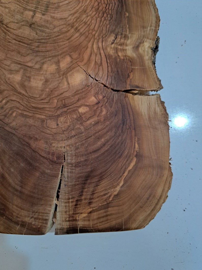 Olive Live Edge Wood Slab Olive Live Edge Log Wood Cookie Burl Slice ...