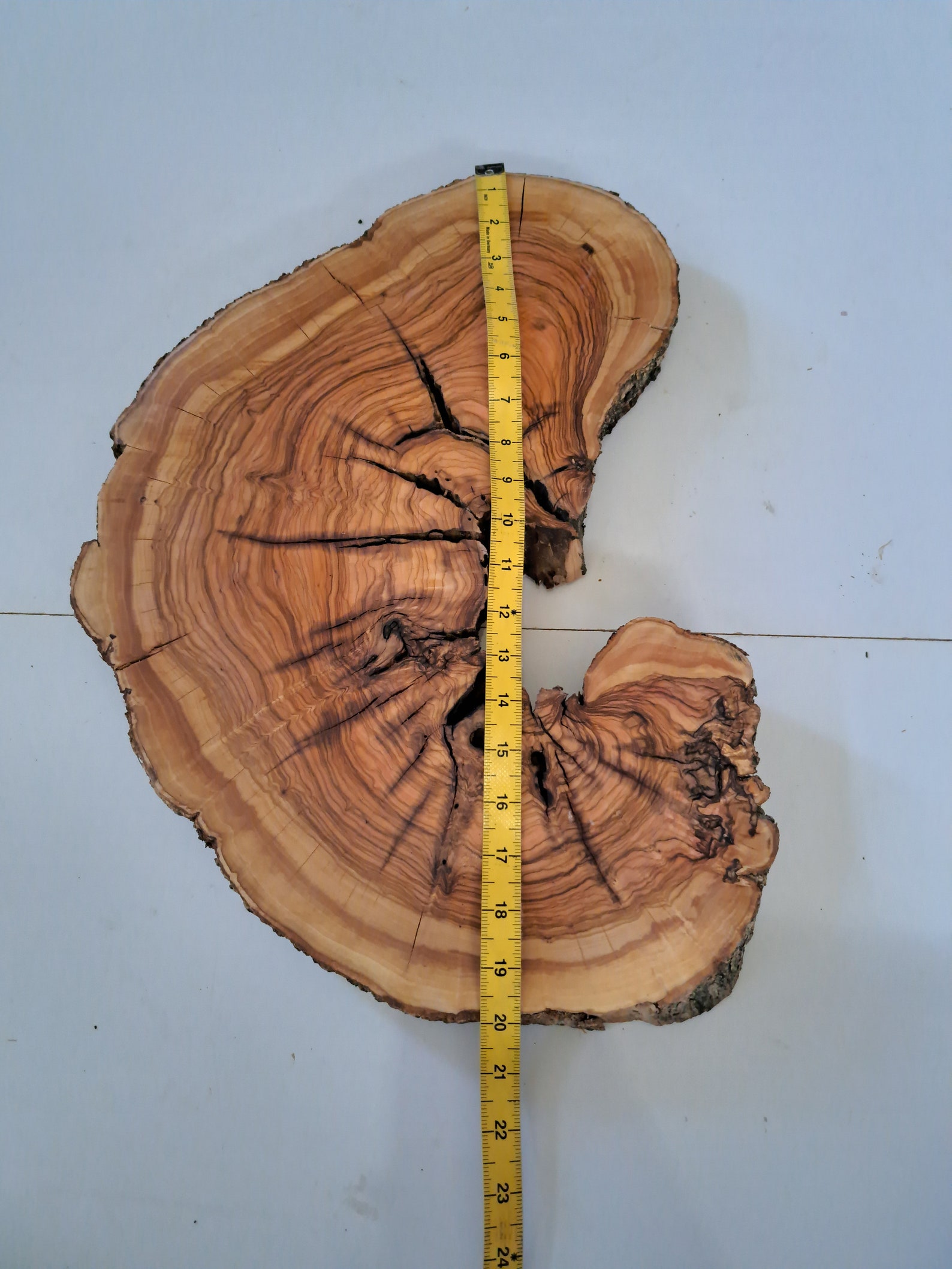 20 Olive Live Edge Wood Slab Live Edge Olive Burl Hole Wood Slice Huge ...