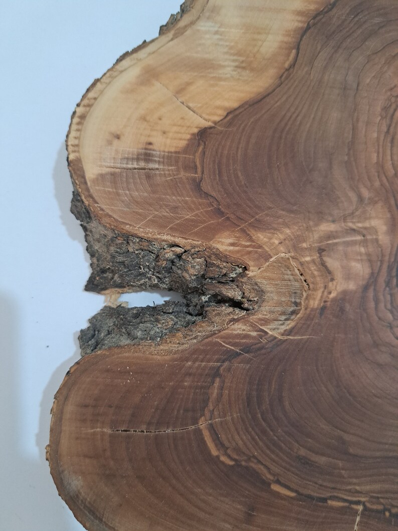 Olive Wood Slice Live Edge Slab Olive Liveedge Log Cookie Burl Slice ...