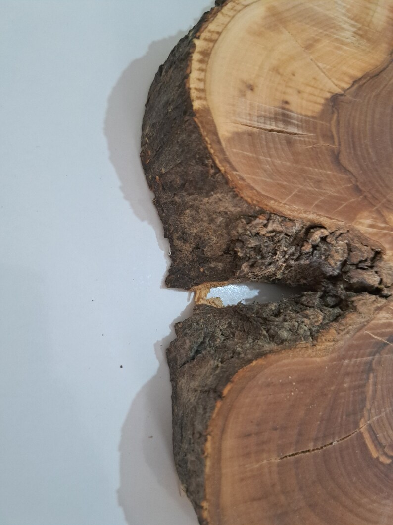 Olive Wood Slice Live Edge Slab Olive Liveedge Log Cookie Burl Slice ...