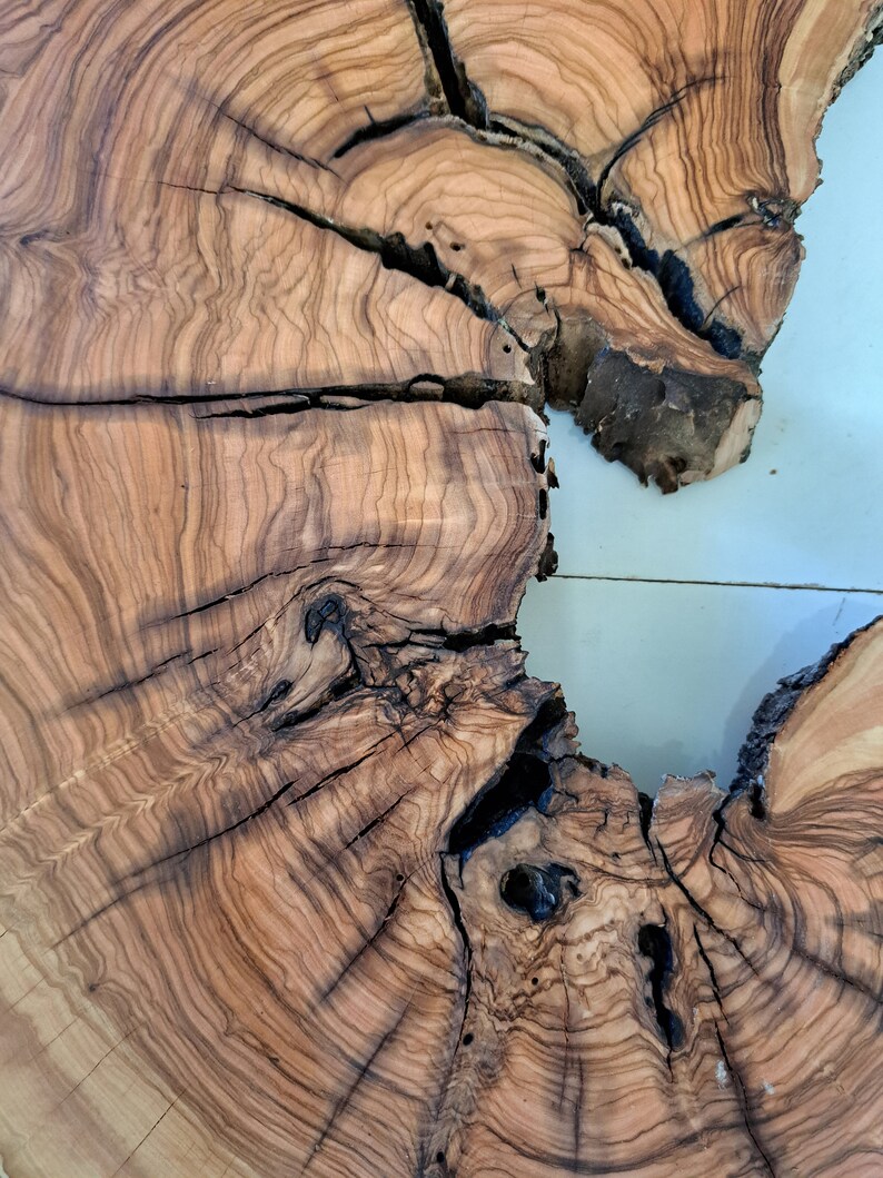 20 Olive Live Edge Wood Slab Live Edge Olive Burl Hole Wood Slice Huge ...