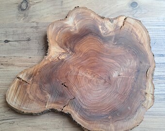Olive Live Edge Wood Slab Olive Live Edge Log Wood Cookie Burl Slice ...