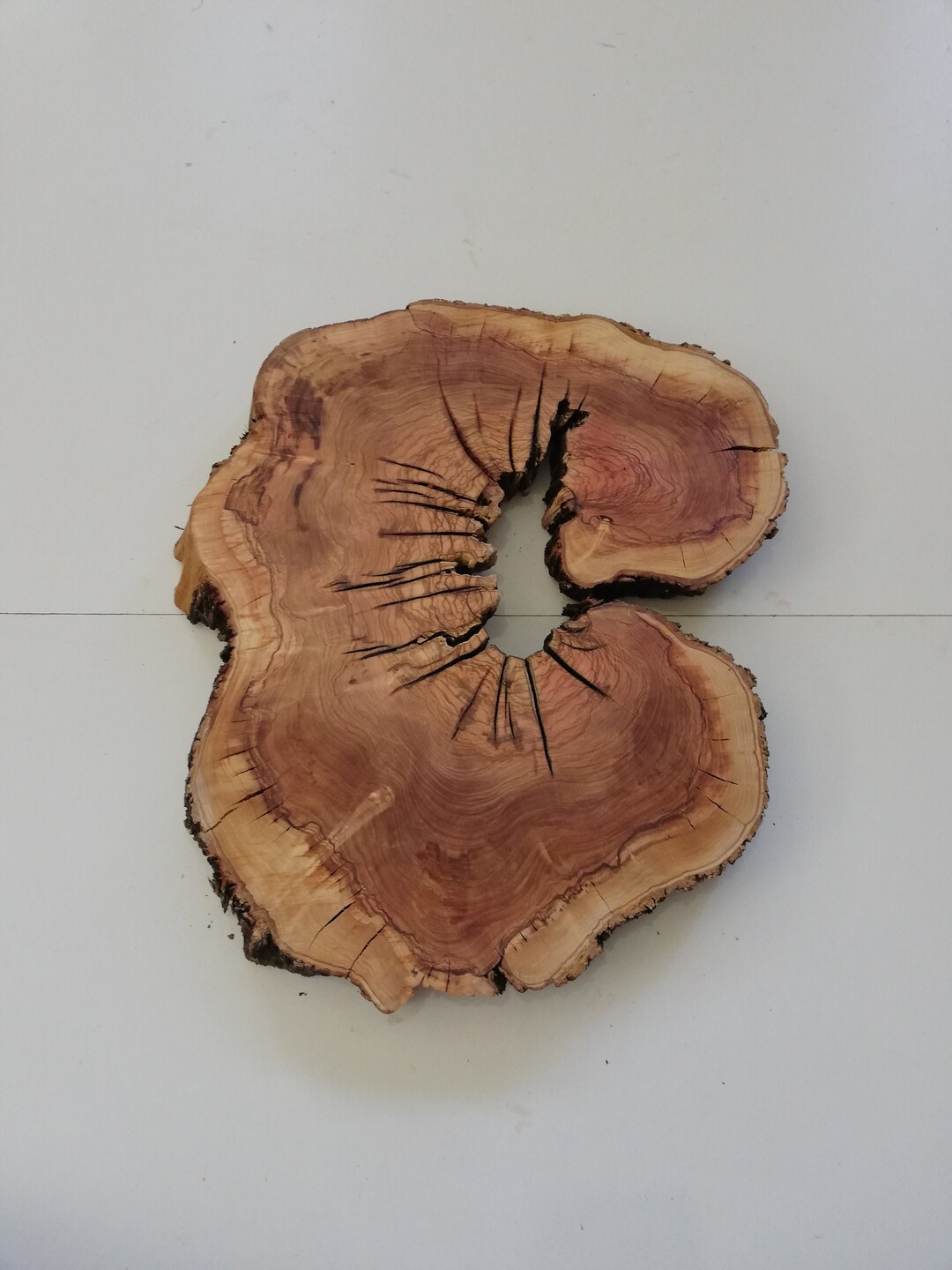 19 Olive Live Edge Slab Live Edge Wood Olive Burl Hole Wood Slice Huge ...
