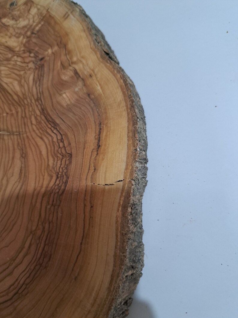 Olive Live Edge Wood Slab Olive Live Edge Log Wood Cookie Burl Slice ...
