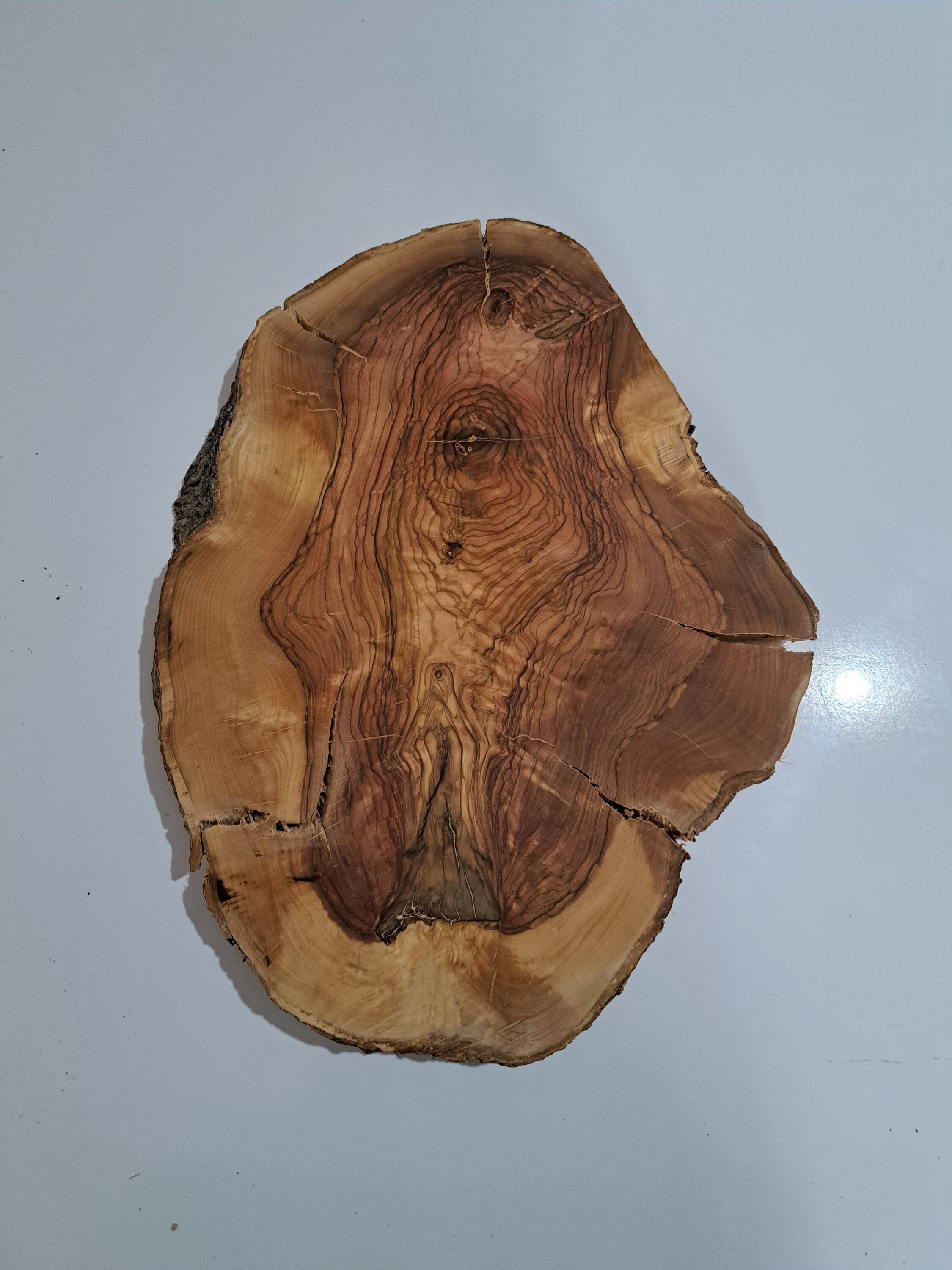 Olive Live Edge Wood Slab Olive Live Edge Log Wood Cookie Burl Slice ...