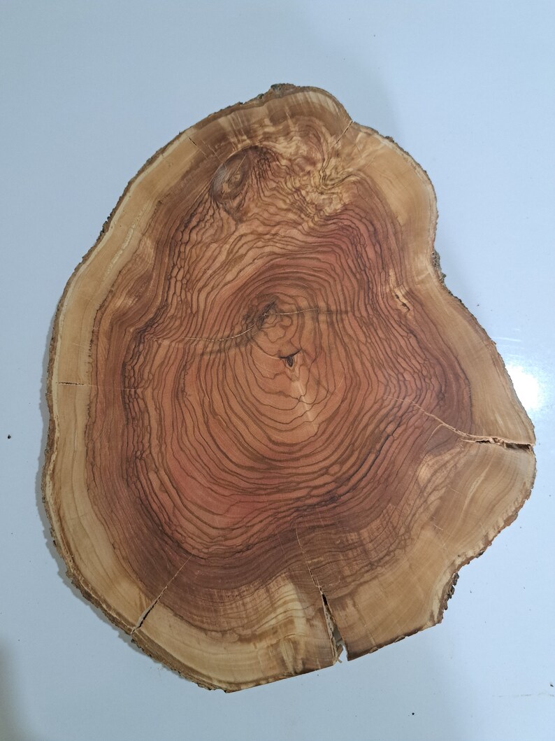 Olive Live Edge Wood Slab Olive Live Edge Log Wood Cookie Burl Slice ...