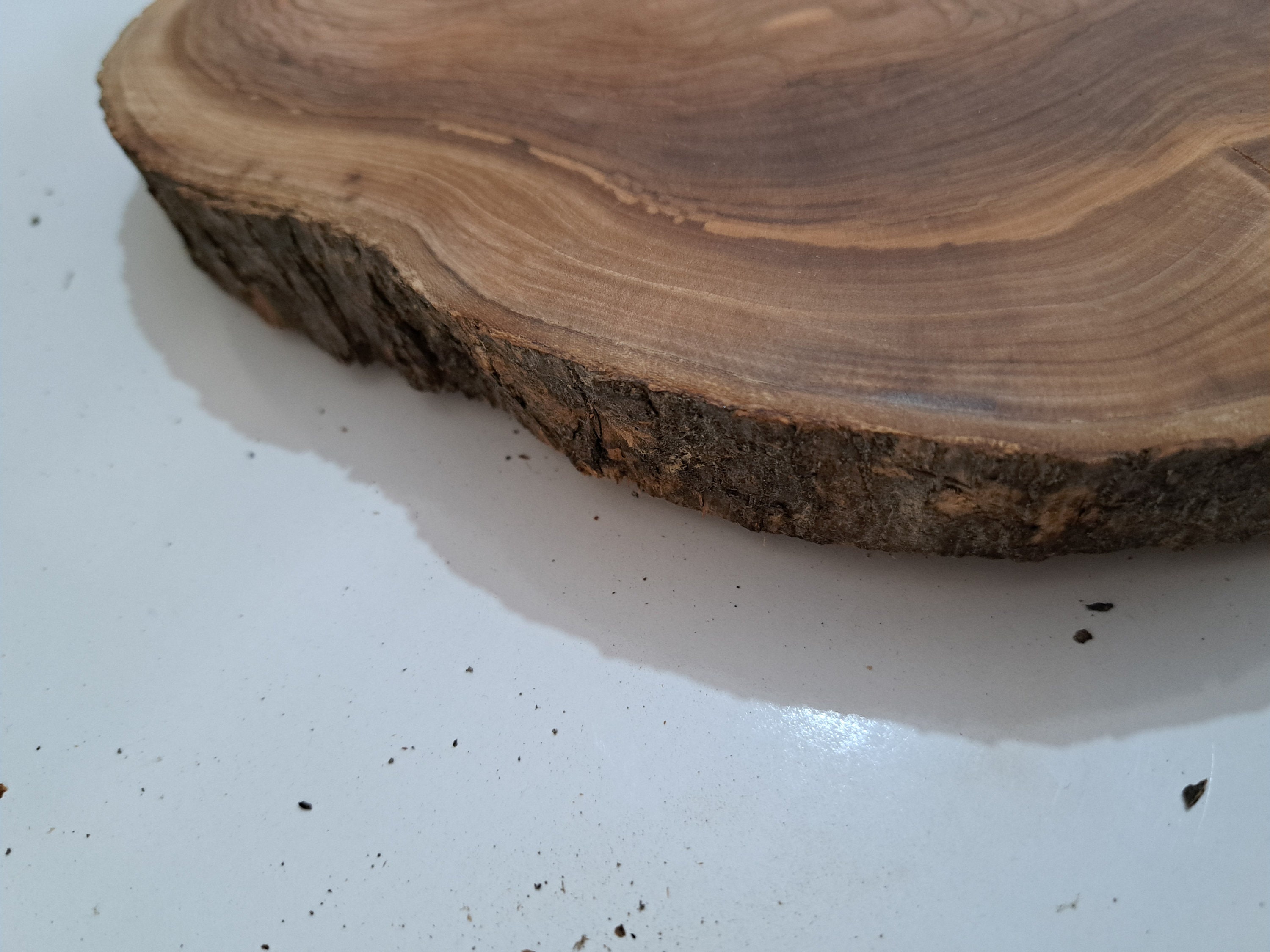 Olive Live Edge Wood Slab Olive Live Edge Log Wood Cookie Burl Slice ...