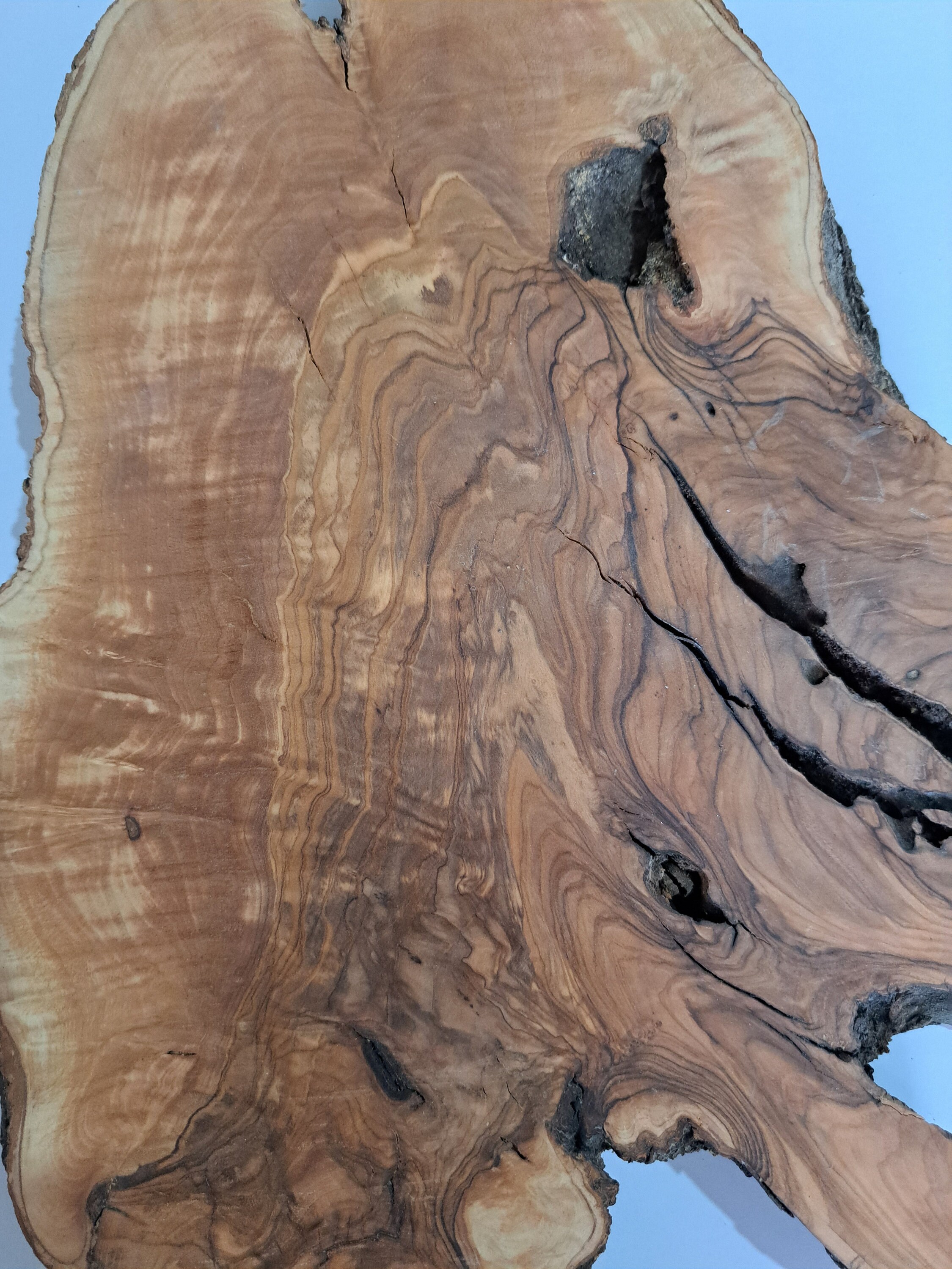 Olive Live Edge Wood Slab Olive Live Edge Log Wood Cookie Burl Slice ...