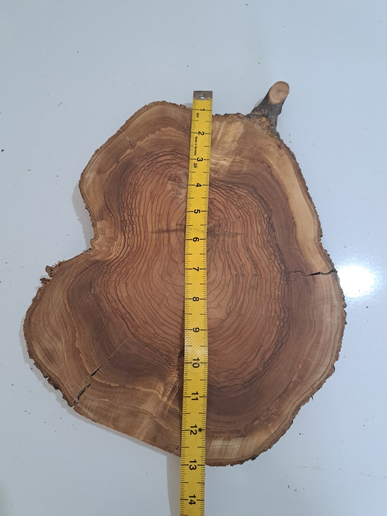 Olive Live Edge Wood Slab Olive Live Edge Log Wood Cookie Burl Slice ...
