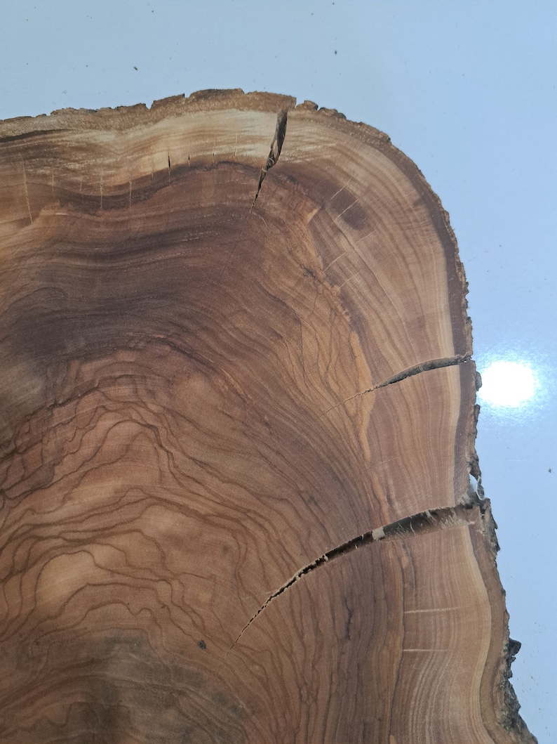 Olive Live Edge Wood Slab Olive Live Edge Log Wood Cookie Burl Slice ...