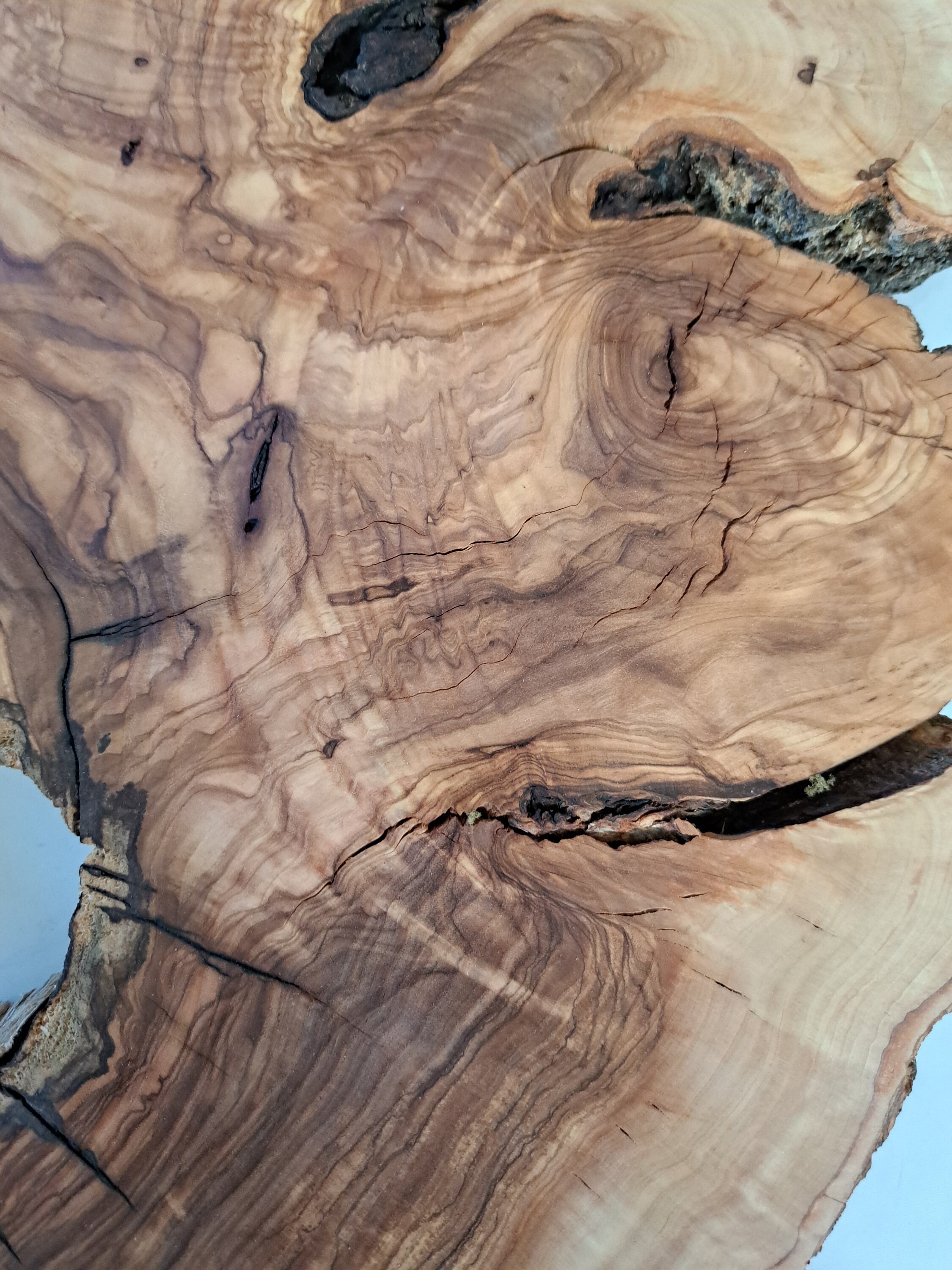 26 Olive Live Edge Wood Slab Live Edge Olive Burl Hole Wood Slice Huge ...
