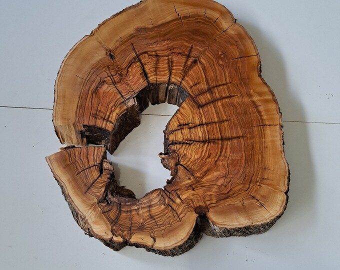 18" Olive Live Edge Wood Slab Live Edge Olive Burl Hole Wood Slice Huge ...