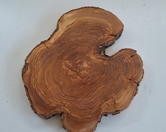 Log Round Cutting Board - Etsy