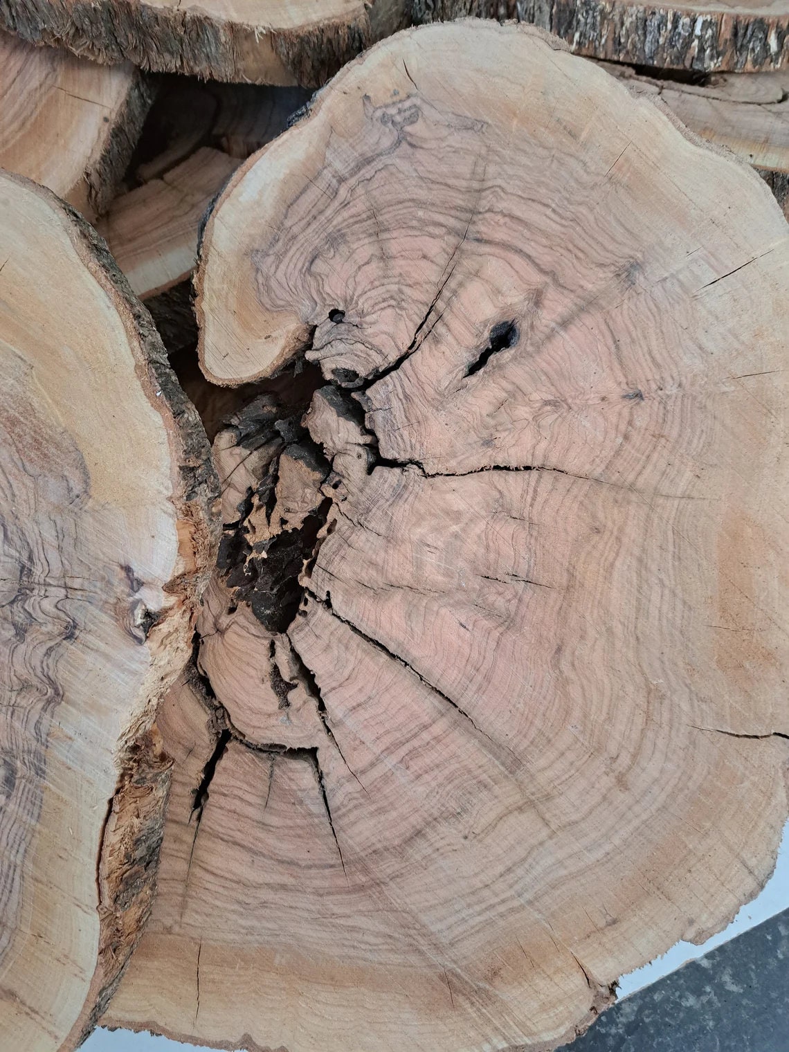 Raw Olive Wood Slice: Live Edge Lumber, DIY Woodworking (16-19 Inch) - Etsy