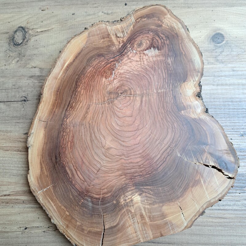 Live Edge - Etsy