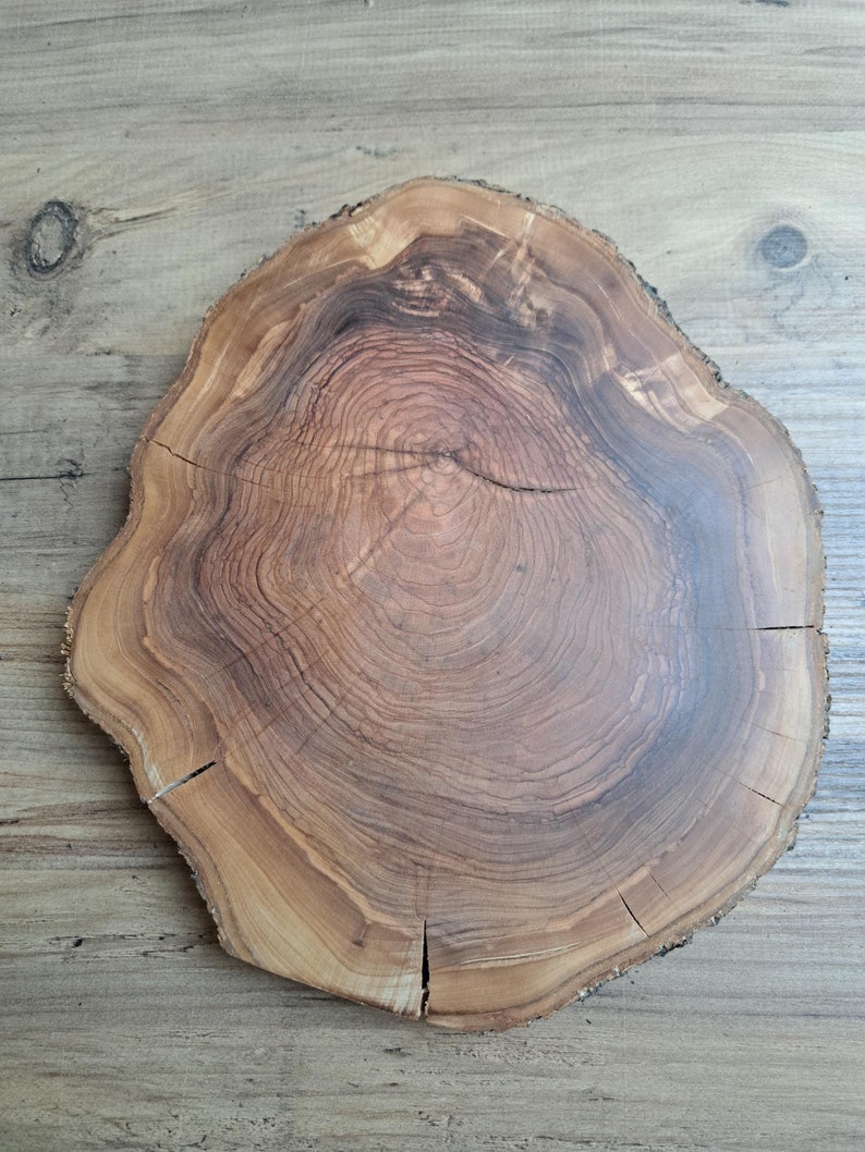 Olive Live Edge Wood Slab Olive Live Edge Log Wood Cookie Burl Slice ...