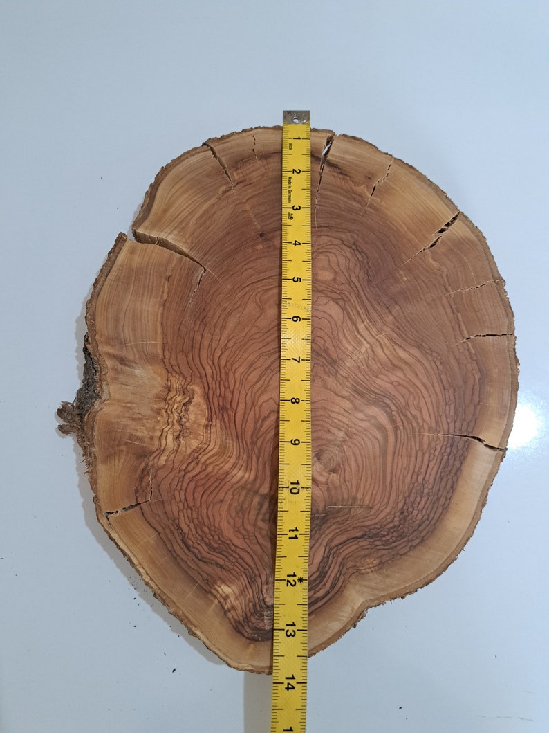 Olive Live Edge Wood Slab Olive Live Edge Log Wood Cookie Burl Slice ...