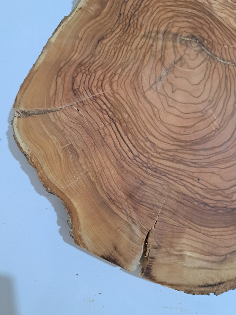 Olive Live Edge Wood Slab Olive Live Edge Log Wood Cookie Burl Slice ...