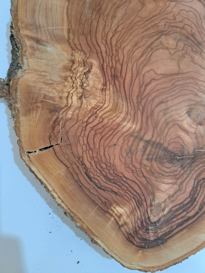 Olive Live Edge Wood Slab Olive Live Edge Log Wood Cookie Burl Slice ...