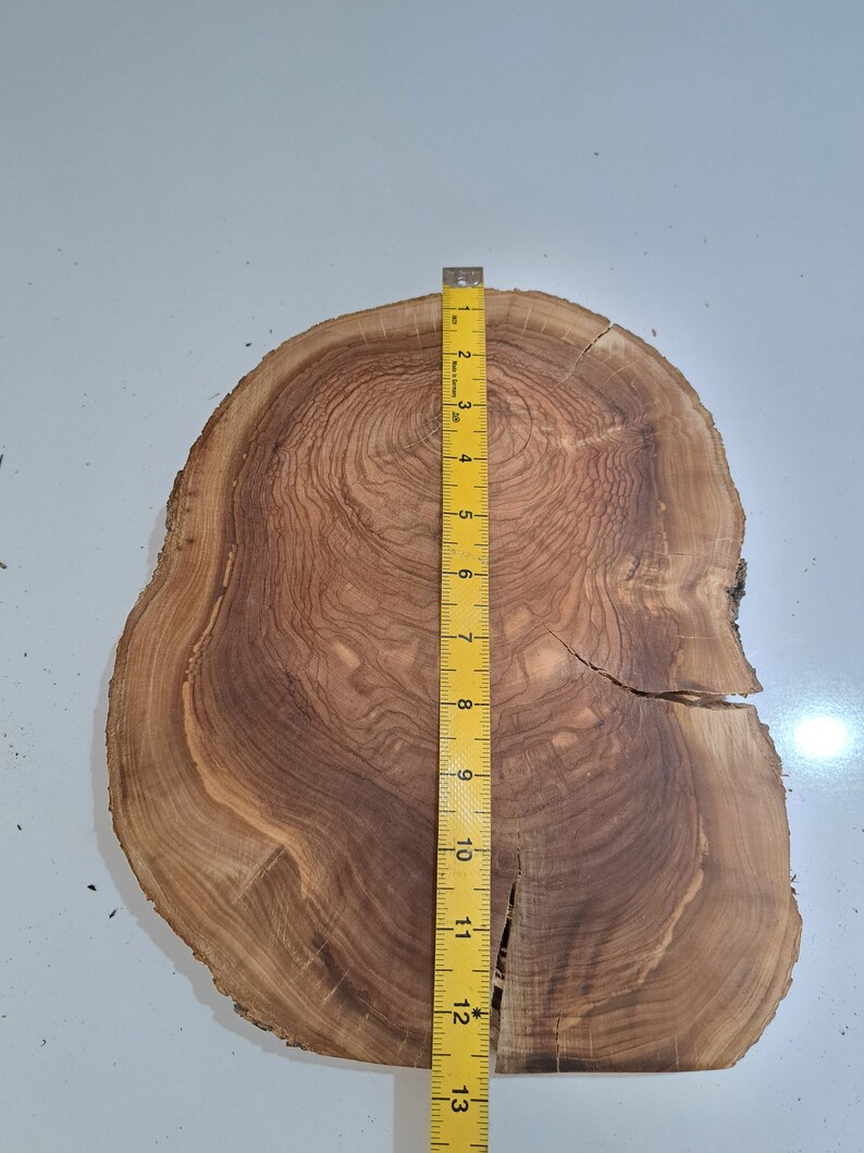 Olive Live Edge Wood Slab Olive Live Edge Log Wood Cookie Burl Slice ...